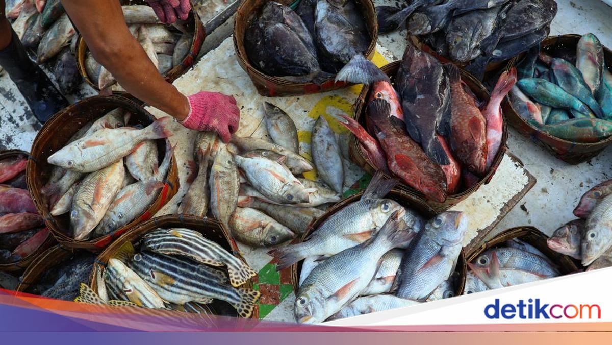 Awal Ramadan, Harga Ikan di Makassar Naik
