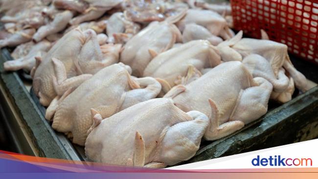 5 Ciri Ayam Busuk, Hindari agar Tak Keracunan Makanan!