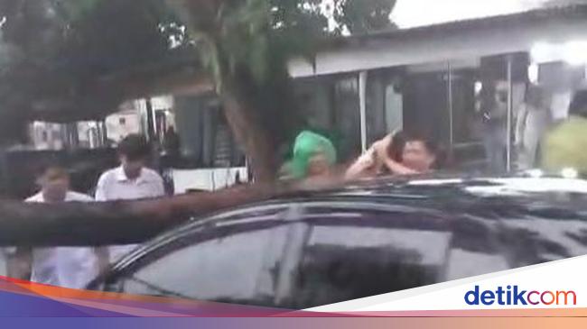 Pohon Tumbang di Bogor Timpa Mobil hingga Motor gegara Hujan Angin