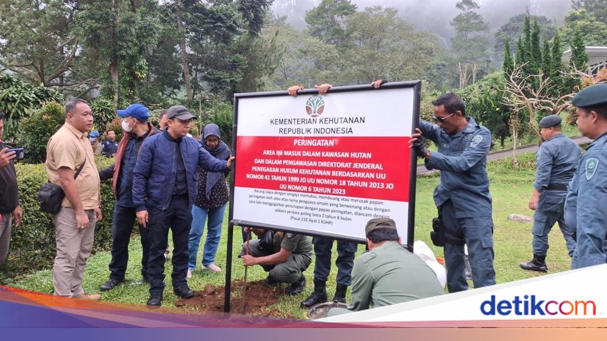 Pemerintah Segel Vila di Puncak Bogor yang Berdiri di Kawasan Hutan ...