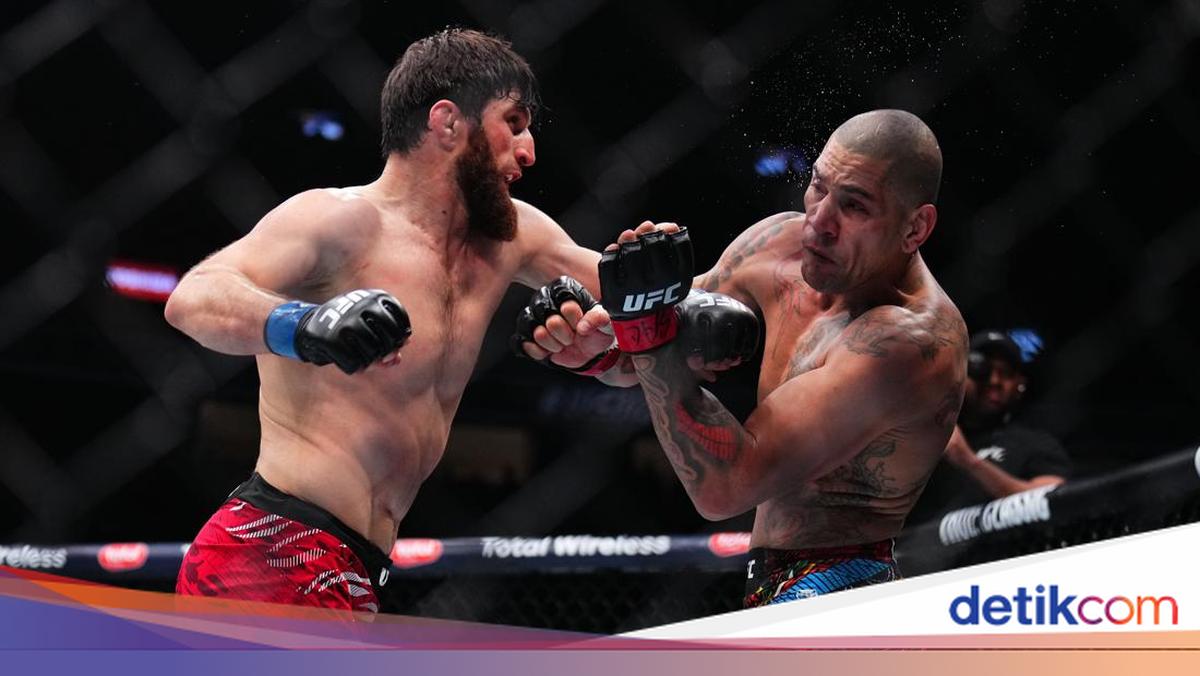 UFC 313: Alex Pereira Keok dari Ankalaev, Inikah Penyebabnya?