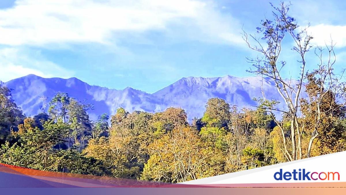 Gunung Raung Erupsi: BPBD Imbau Warga Jauhi Puncak, Pendaki Putar Balik