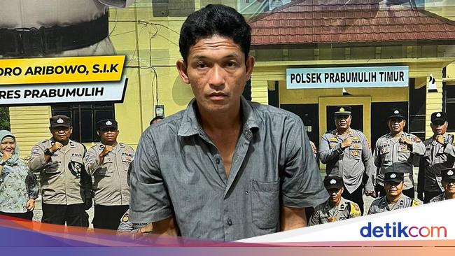 Pria di Prabumulih Ditangkap Polisi karena Curi Ribuan Buah Nanas