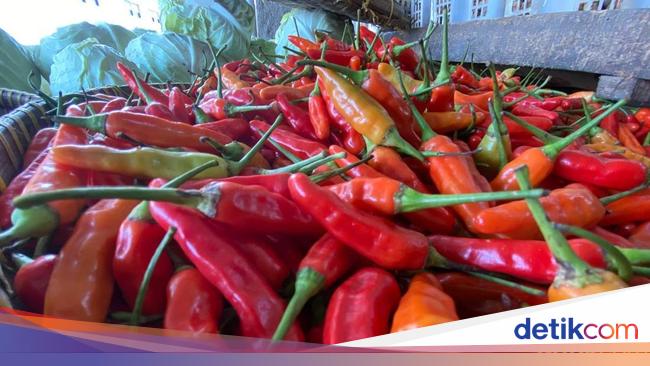 Meroket! Cabai Setan di Banjarnegara Rp 100 Ribu/Kg, Bawang Merah Rp 60 Ribu
