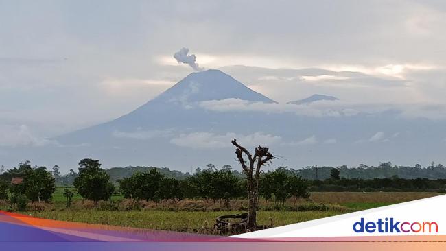 Gunung Semeru Erupsi 2 Kali, Luncurkan Abu Vulkanik Setinggi 800 Meter