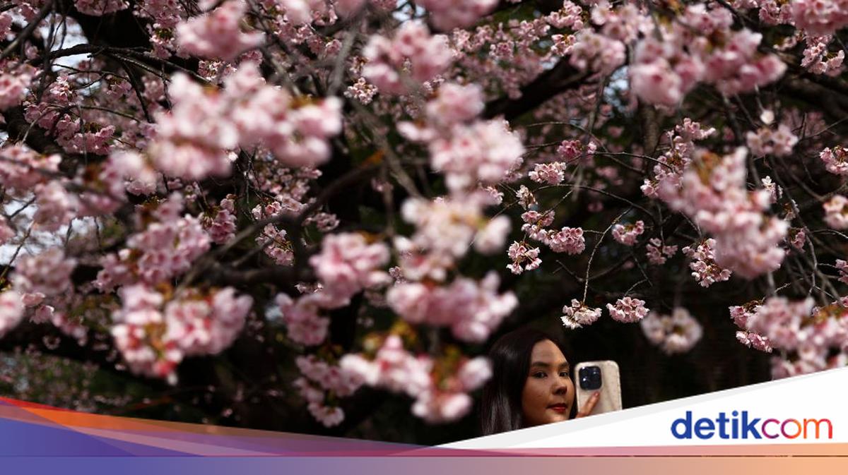 Ini Tempat-tempat Tercantik di Dunia untuk Liburan Musim Semi