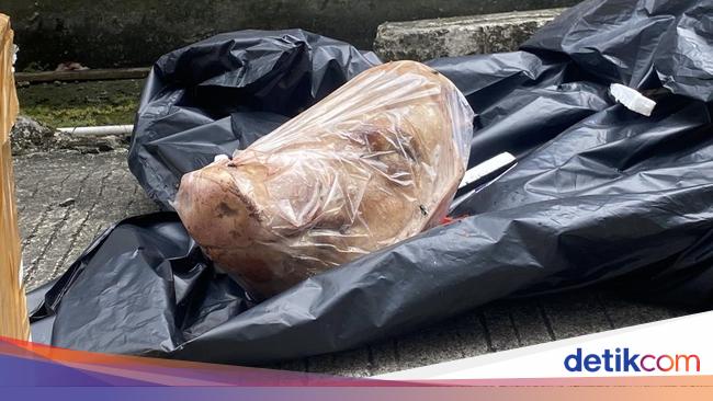 KMHDI-YLBHI Kecam Aksi Teror Kepala Babi dan Bangkai Tikus ke Kantor Tempo