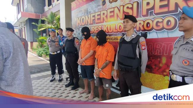 16 Ribu Pil Sapi Siap Edar Dibongkar di Magelang, Sasar Kulon Progo dan ...