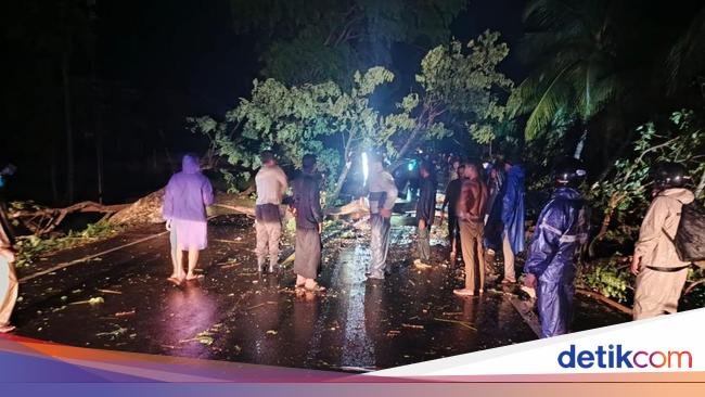 Pohon di Tabanan Tumbang Timpa Truk Perusahaan Semen, Sopir Luka-luka