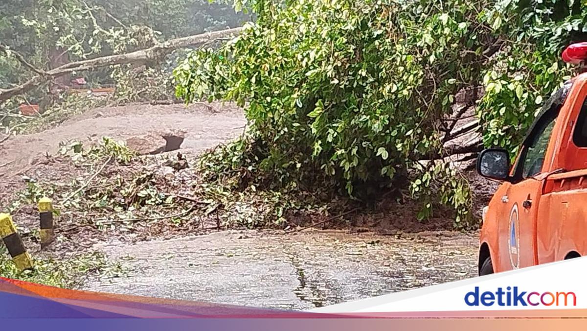 Jalur Pacet-Cangar Tertimbun Longsor Sepanjang 50 Meter Belum Bisa Dilalui