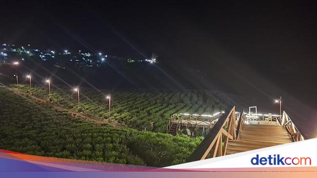 Menikmati Segelas Kopi Saat Malam Hari di Wisata Bukit Tungguan Pagar Alam