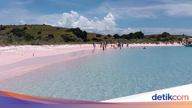 Menyusuri Pantai Pink Lambu, Primadona Turis Mancanegara di Bima