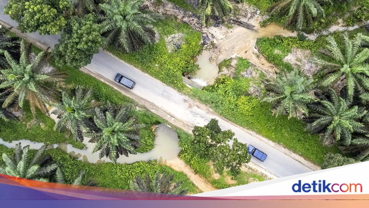 Foto Udara Arus Balik Jalur Alternatif Jambi-Sumbar