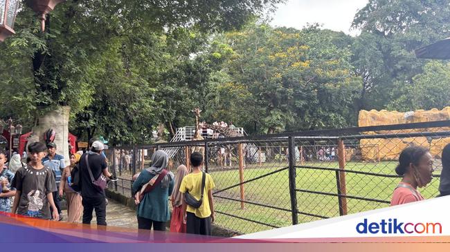 KBS Diserbu 96 Ribu Pengunjung Sejak Hari H Lebaran 2025