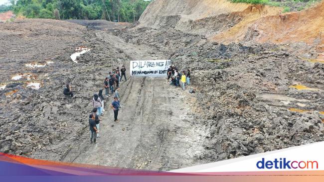 Soal Aparat Terlibat di Kasus Hutan Unmul, Ini Jawaban Balai Gakkum LHK
