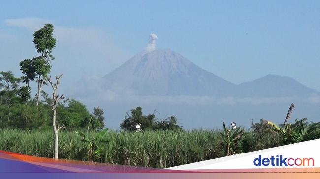 Semeru Erupsi 3 Kali Pagi Ini, Luncurkan Abu Vulkanik Setinggi 600 Meter