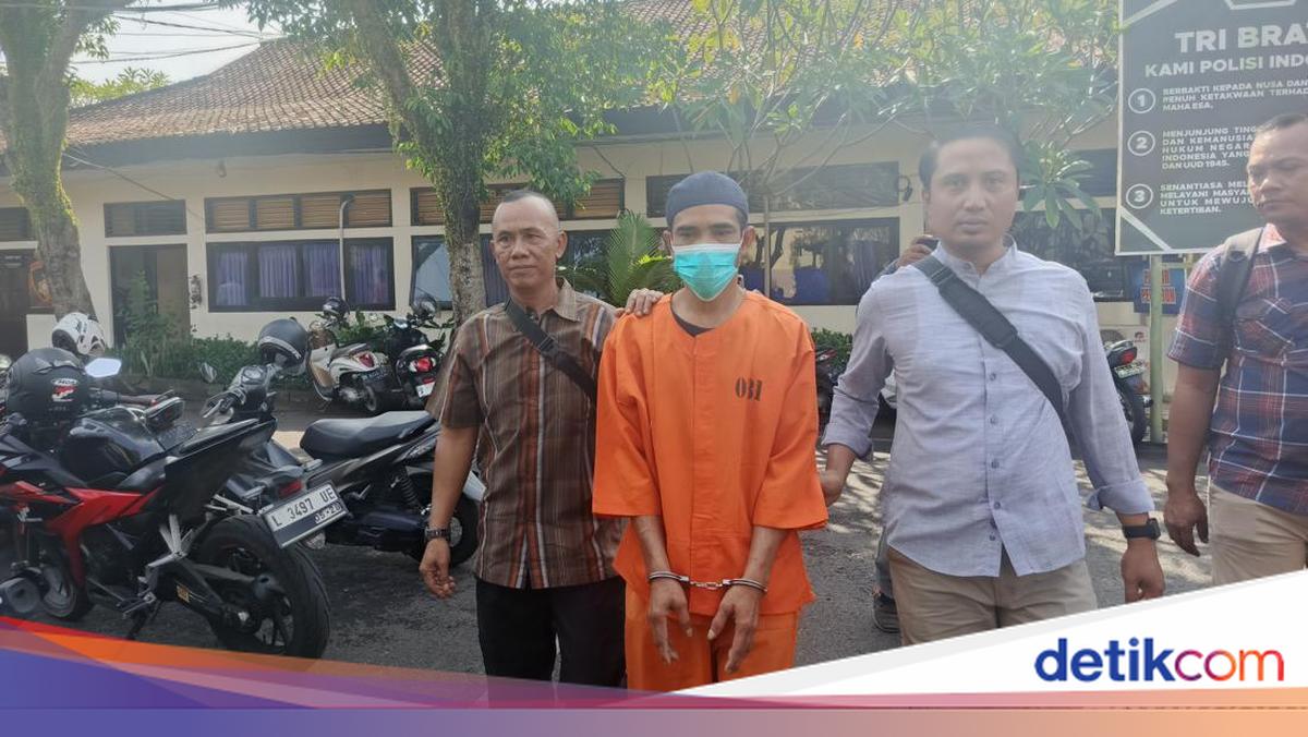 DPO Penyelundup 5 Penyu Hijau Ditangkap, Terancam 5 Tahun Penjara