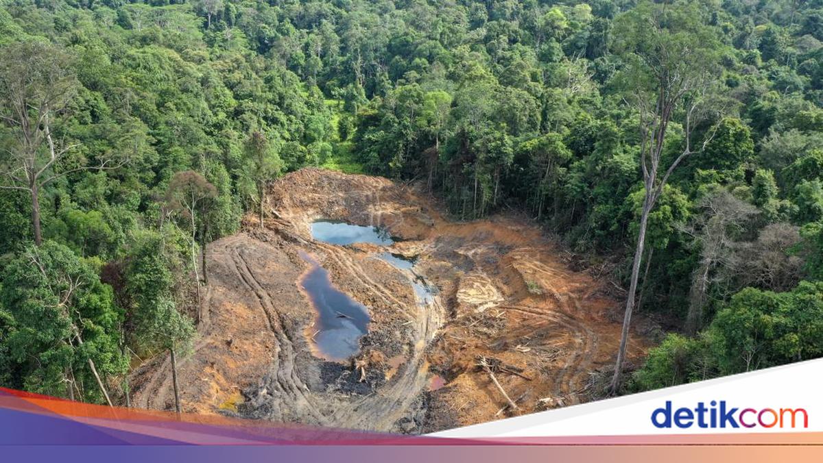 Kepala Gakkum KLHK Kalimantan Diganti, Gimana Kasus Tambang Ilegal di Unmul?