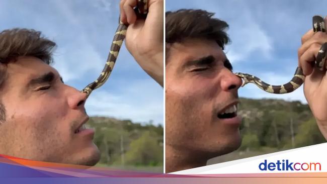 Viral Video Hidung Pria Digigit Ular Saat Ngonten Bikin Kaget