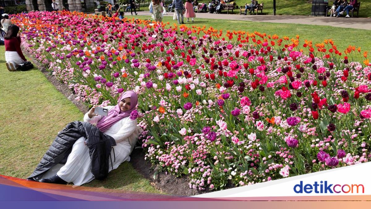 Melihat Indahnya Bunga Bermekaran di Victoria Embankment Gardens