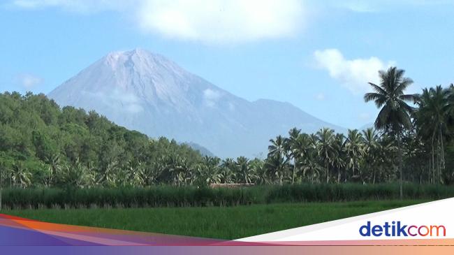 Gunung Semeru Kembali Erupsi, Muntahkan Abu Vulkanik 800 Meter