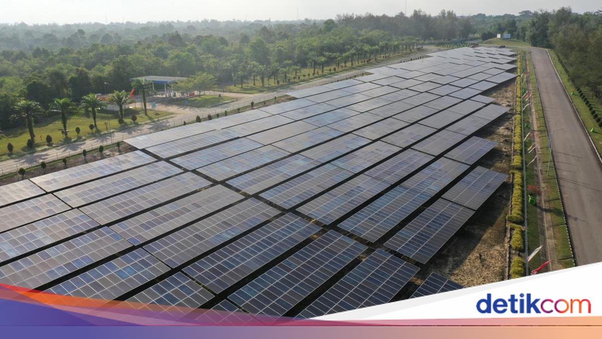 Pertama di RI, Pertamina NRE Manfaatkan AI untuk Pastikan Keandalan PLTS