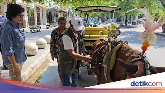Kuda Andong Malioboro Diperiksa, Ada yang Bunting tapi Masih Narik