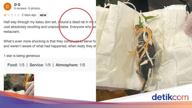 Jijik! Ibu Hamil Ini Temukan Bangkai Tikus Saat Makan Salad