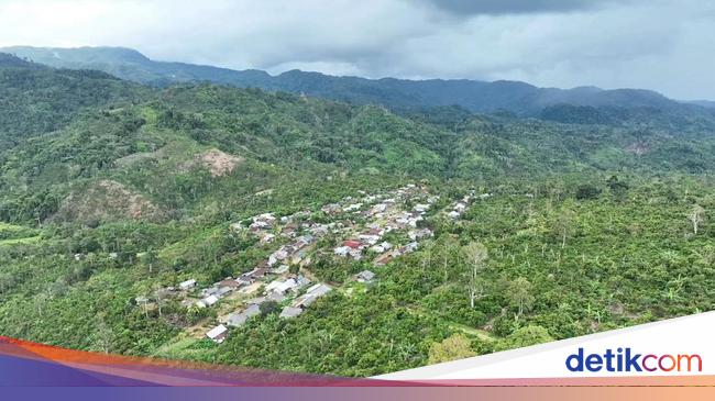 TNBBS Lampung Catat Ada 4.517 Orang Tinggal dalam Kawasan Konservasi Hutan