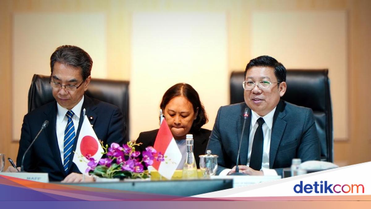 RI Dapat Tawaran Impor Daging-Susu Sapi dari Jepang