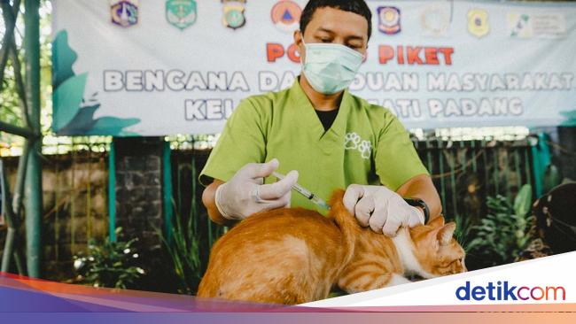 Catat! Ini Jadwal Vaksinasi Rabies 2025 di Kota Balikpapan
