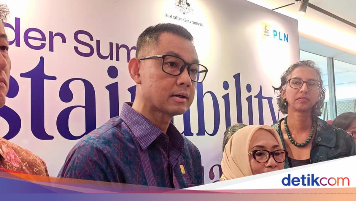 Tak Cuma Sediakan Listrik, PLN Dapat Tugas Baru Imbas Perubahan Iklim