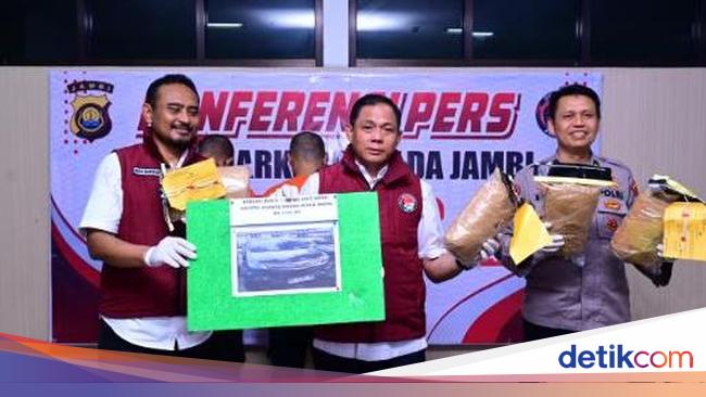 Polda Jambi Gagalkan Penyelundupan 11 Kg Ganja, 2 Tersangka Ditangkap