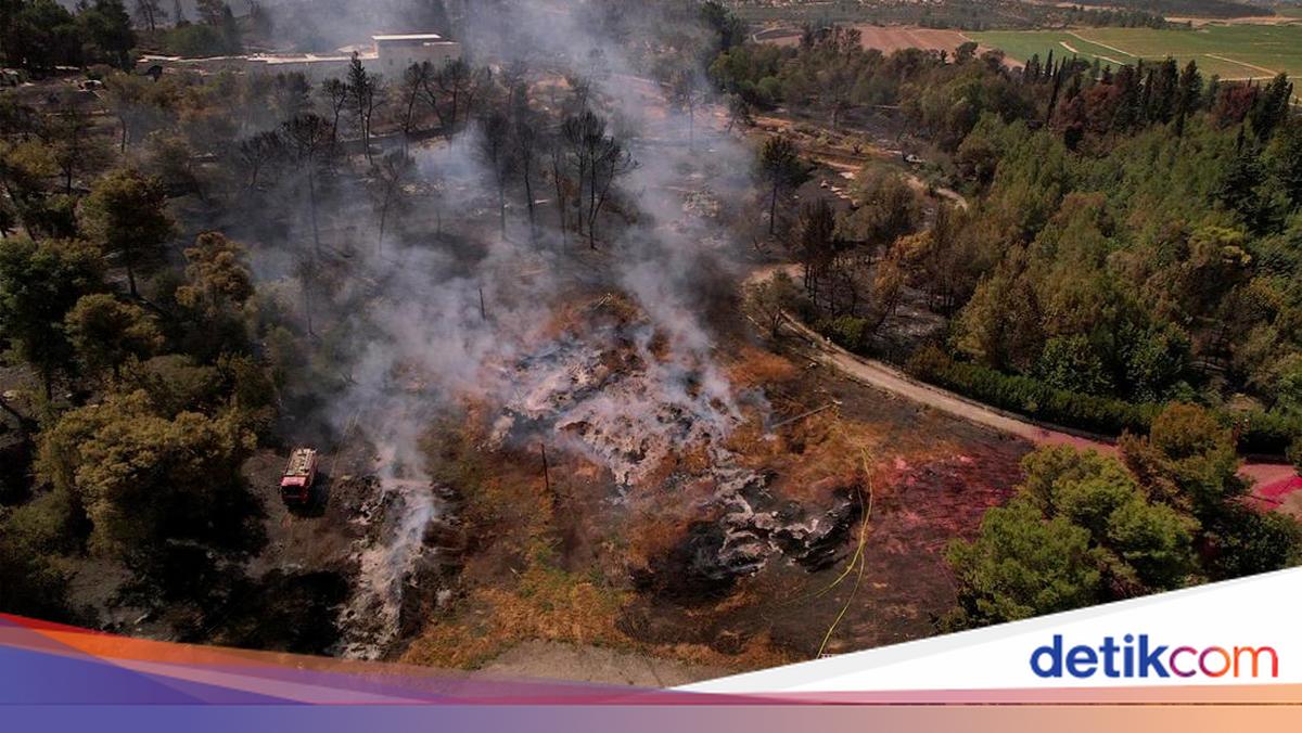 Kebakaran Hutan Israel Diperparah Perubahan Iklim