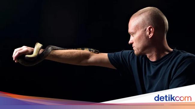 Digigit Ular Berbisa 200 Kali, Darah Pria Ini Hasilkan Obat Super
