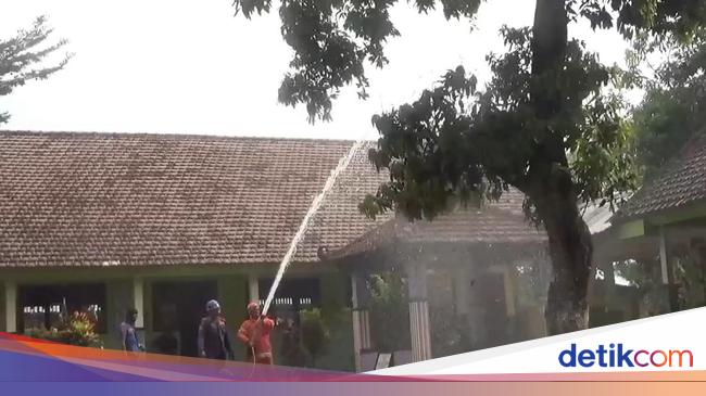 Serangan Ulat Bulu di SDN Menganto Jombang Terjadi Sejak 2024