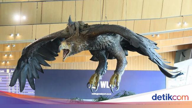 Setelah 12 Tahun, Elang Raksasa di Bandara Ini Akhirnya Pensiun Juga