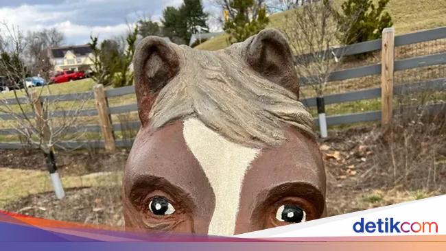 Deretan 'Usaha' Agar Tampil Estetik yang Ambyar