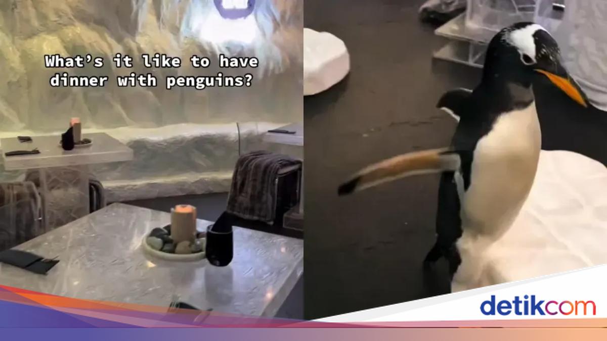 Unik! Di Restoran Ini Bisa Makan Ditemani Penguin