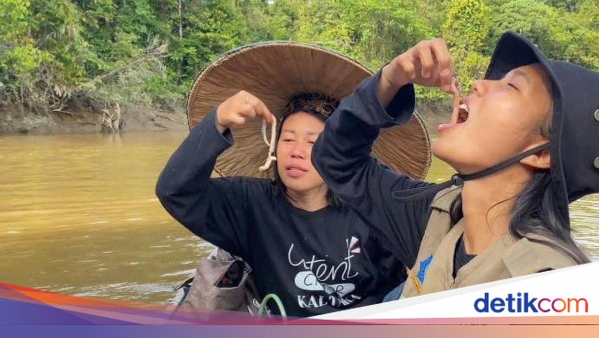 Mengenal Cacing Tembiluk, Makanan Unik Suku Dayak