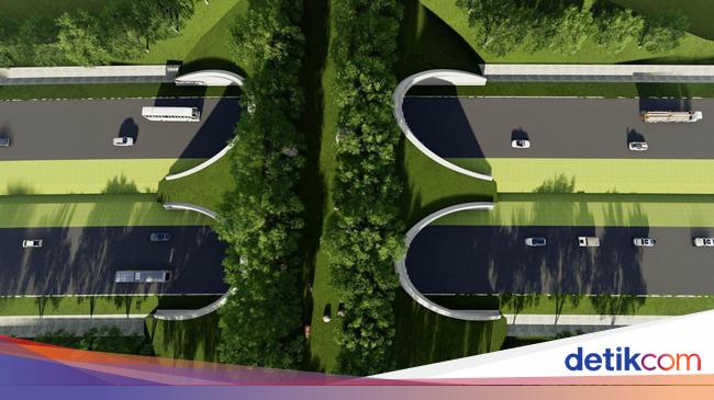 Jembatan Satwa Dibangun di Atas Tol IKN