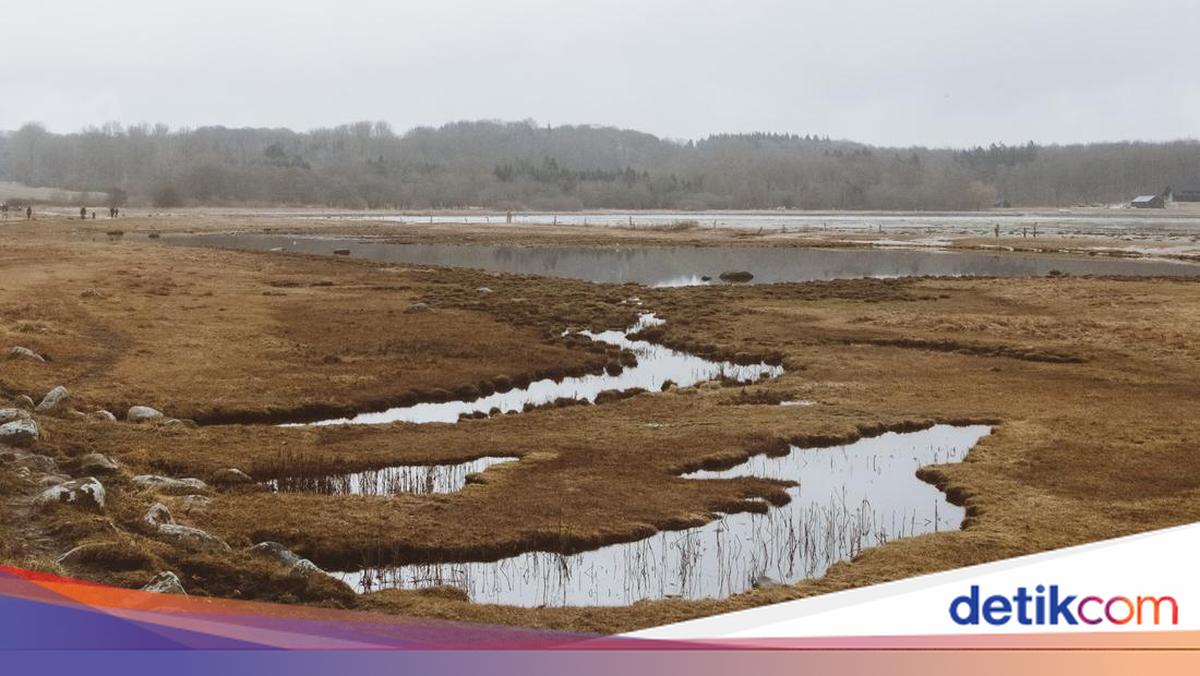 Apa Itu Kemarau Basah? Ini Pengertian, Penyebab, dan Dampaknya