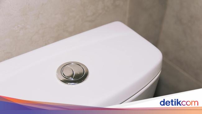 Dua Tombol Flush di Toilet Bisa Bikin Hemat Air, Begini Cara Kerjanya