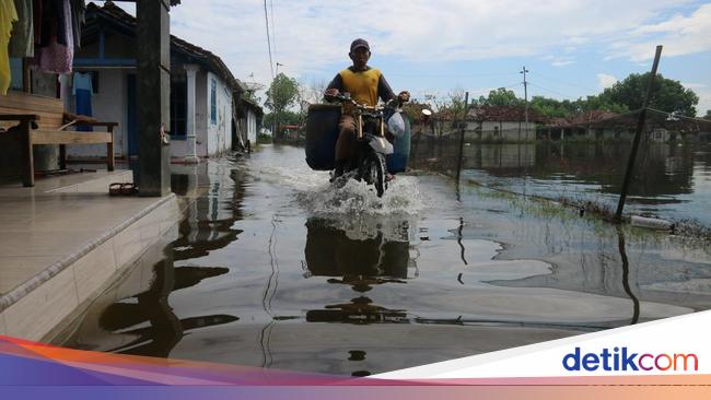 Pilu Warga Tunggulsari Pati Sepekan Terdampak Rob: Sudah 3 Hari Air Masuk Rumah