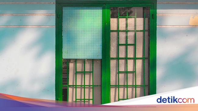 20 Macam Warna Hijau Beserta Kodenya