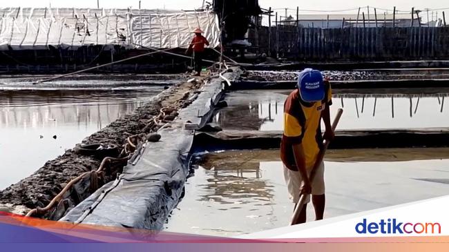 Potret Petani Garam di Probolinggo saat Harga Naik