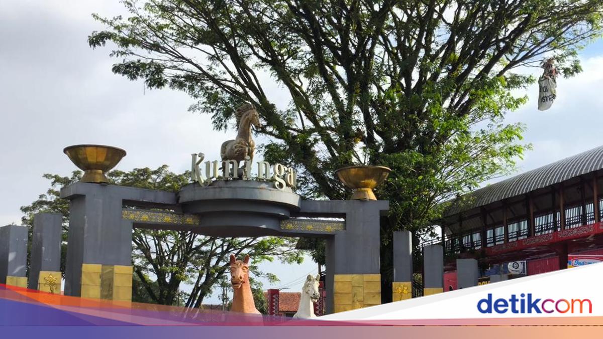 Kisah Kuda 'Si Windu' dan Sejarah Perkembangan Delman di Kuningan