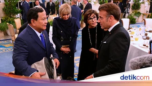 Kucing Prabowo 'Bobby Kertanegara' Curi Perhatian Para Tokoh Dunia