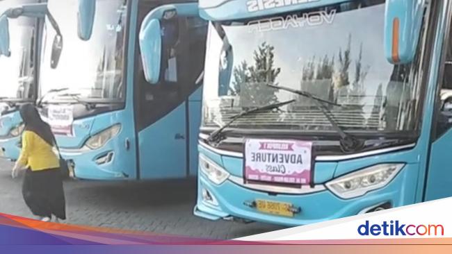 Viral Parkir Bus Dipatok Rp 800 Ribu, Padahal Begini Ceritanya...