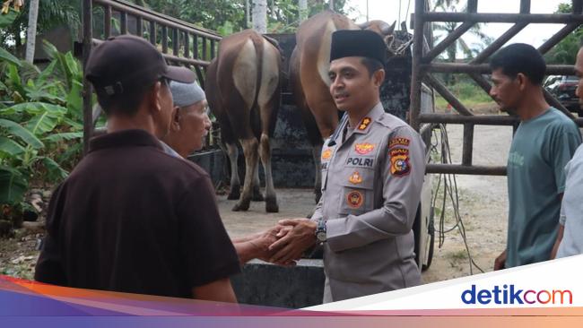 Polres Rohul Salurkan 10 Ekor Hewan Kurban ke Masjid-masjid di Pelosok Desa